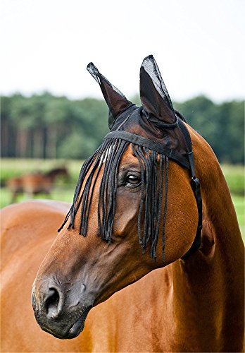 Top 10 Ear Covers for Horses You Need to Try Today: A Comprehensive ...