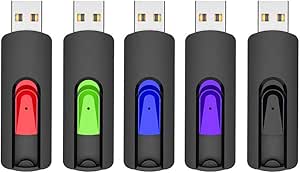 RAOYI 5-Pack 64GB Retractable USB Flash Drives in Multiple Colors