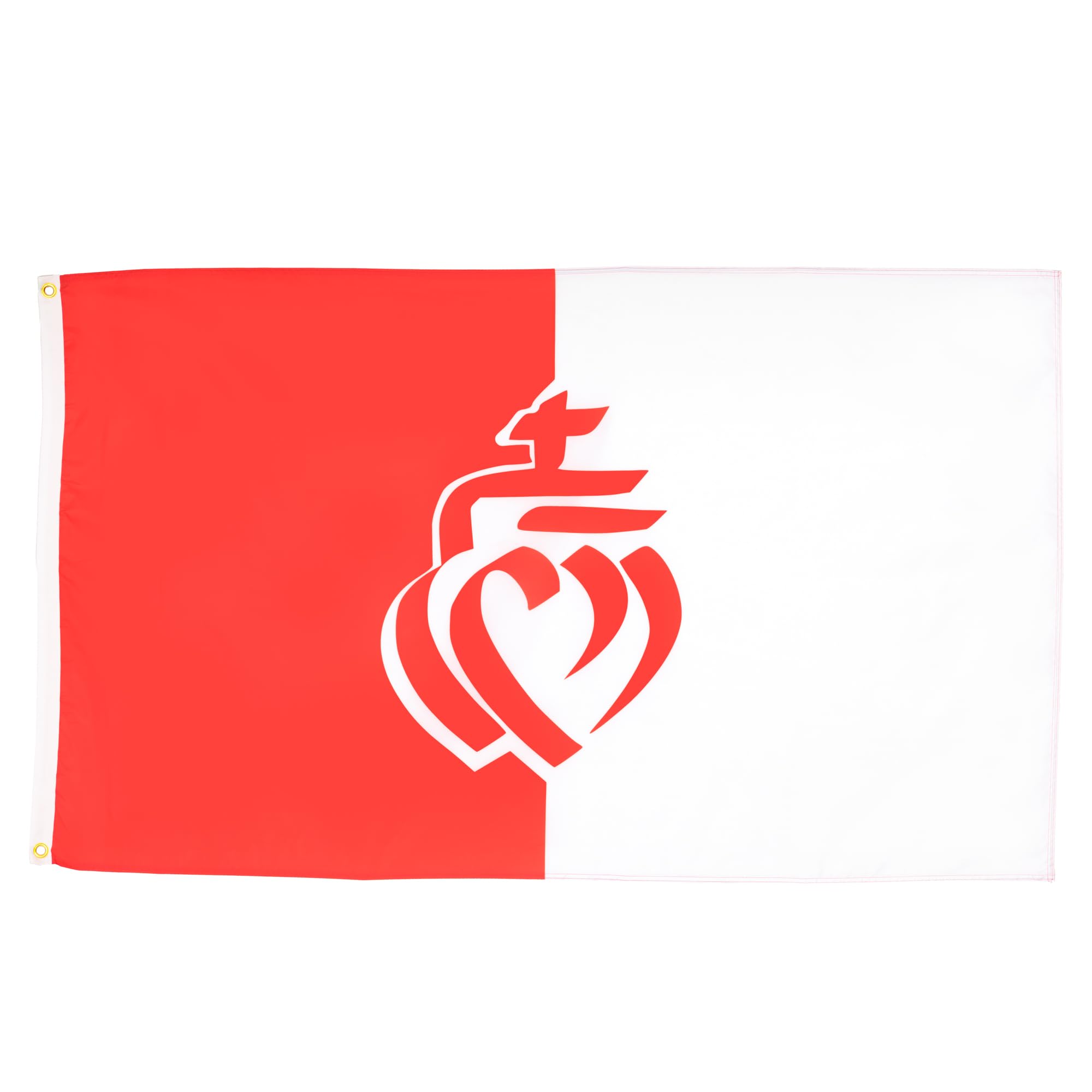 Amazon.com : AZ FLAG - French Department of The Vendée Flag - 3x5 Ft ...