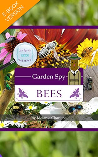 Garden Spy Bees: Bee Facts About The Bees in Your Backyard eBook ...