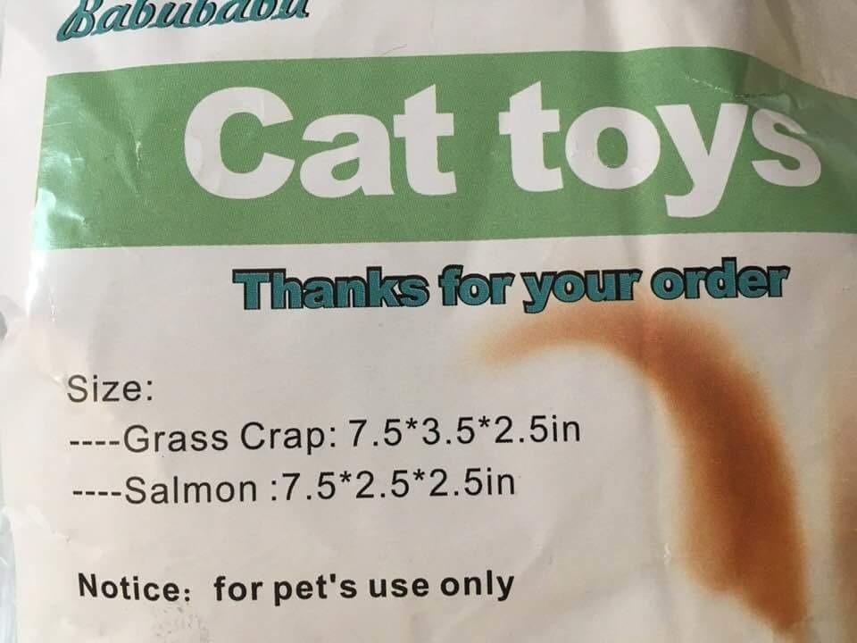 Amazon.com : Babula 2 Piece Cat Toys, Catnip Simulation Plush Fish Toy ...