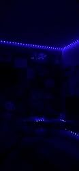 Keepsmile 30M Led Strip Lights (2 Rolls of 15M) Bluetooth Smart App ...