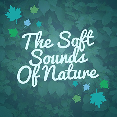 Play The Soft Sounds of Nature by Nature Sound Series, Nature Sounds ...