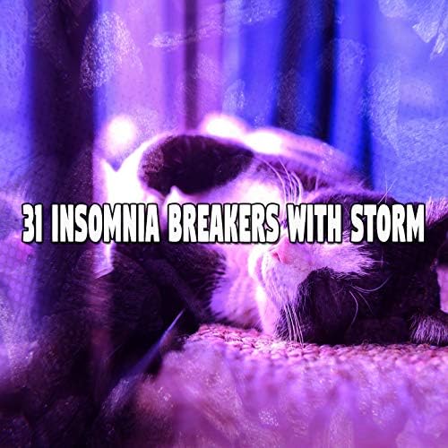 Amazon Music Unlimited - 雨の音 『31 Insomnia Breakers with Storm』