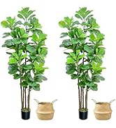 Amazon.com: ROOMTEC Artificial Fiddle Leaf Fig Tree,7 FT Tall ...