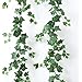 Amazon.com: mizii 2 Strands Artificial Vines Ivy Garland 79" Fake Vine with Silk Green Leaves ...