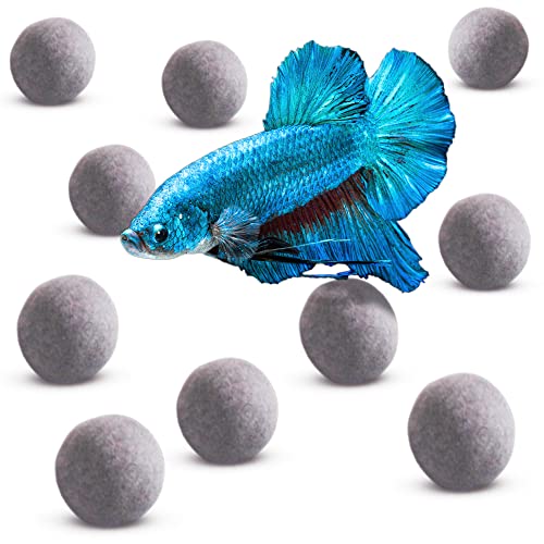 Top 10 Best Environment For Betta Fish : Reviews & Buying Guide - Katynel