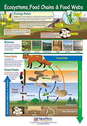 Ecosystems, Food Chains and Food Webs Poster - Laminated, Full-Color ...