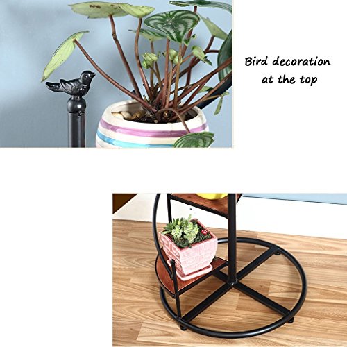 DBSCD Plant Stand,Rotate Ladder 8 Tier Flower/Plant Racks/Shelf Iron ...