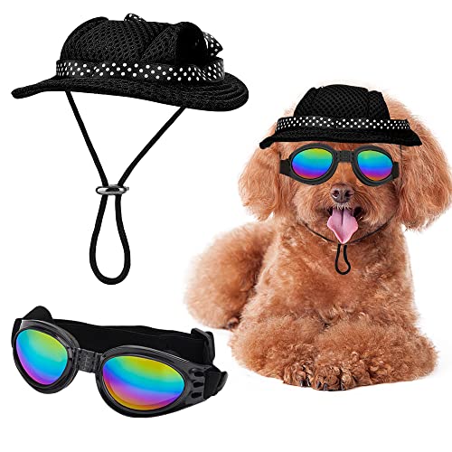 Amazon Best Sellers: Best Dog Hats