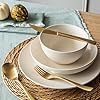 Amazon.com | over&back Coupe Dinnerware Set - Stoneware Dishes - Comes ...