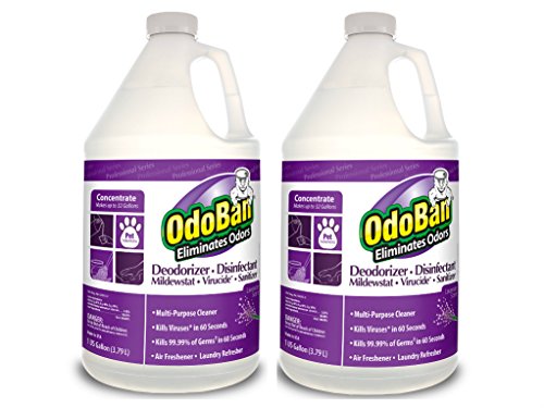 Best Odoban Pet Odor Eliminator Carpet Cleaner 2021 Where to Buy ...