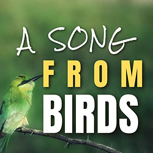 Sleepy Bird song by Bird Songs, Sleep Sounds of Nature & Calm Singing ...