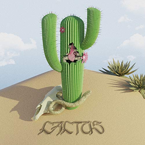 Play Cactus by Rash-1, Adri on Amazon Music