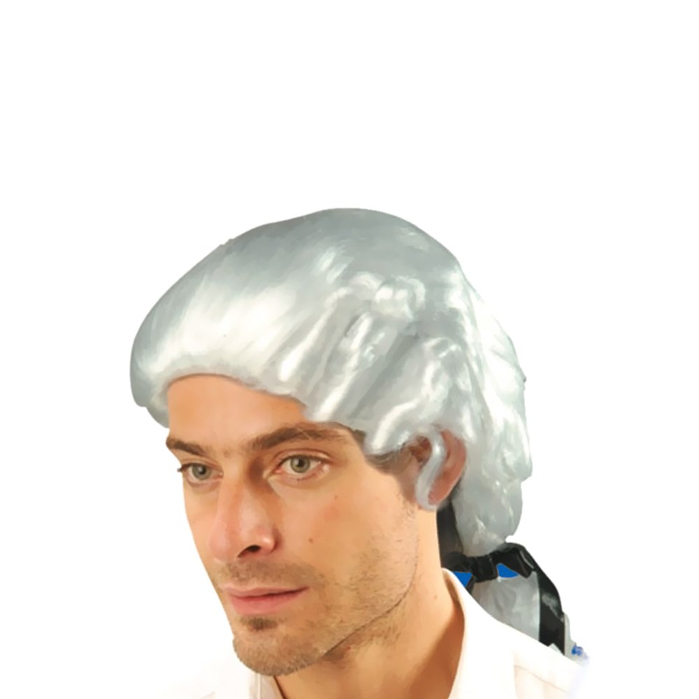 Amazon.com: Dress Up America Colonial Wig for Adults - White Judge Wig ...