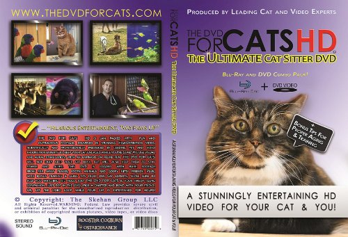 Amazon.com: THE DVD FOR CATS: The Ultimate Cat Sitter DVD (Blu-Ray and ...