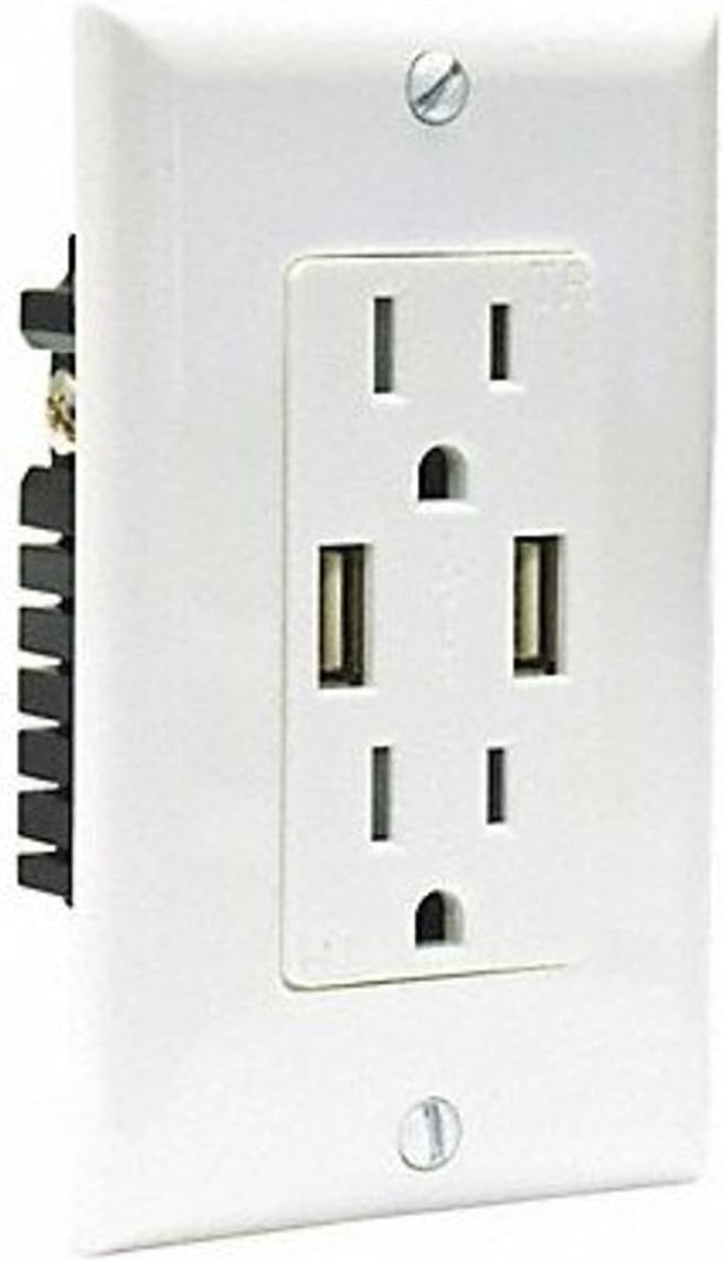 Eastman Dual USB Charger and Tamper Resistant Duplex Receptacle, 15 ...