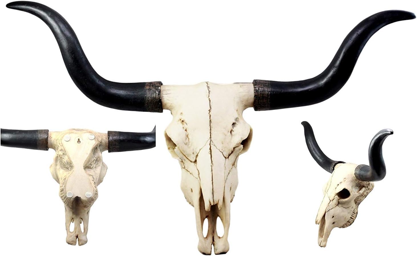 Amazon.com: Ebros Gift Texas Longhorn Steer Cattle Cow Skull Wall ...