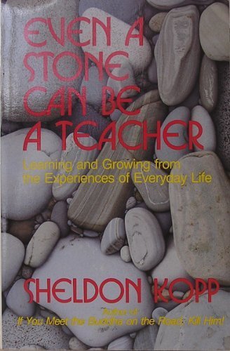 Even a Stone Can be a Teacher: Learning and Growing from the Experience ...