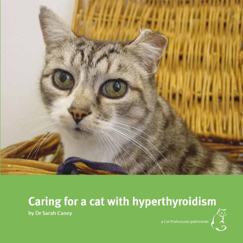 Understanding Hypertension (High Blood Pressure) in Cats: What Owners ...