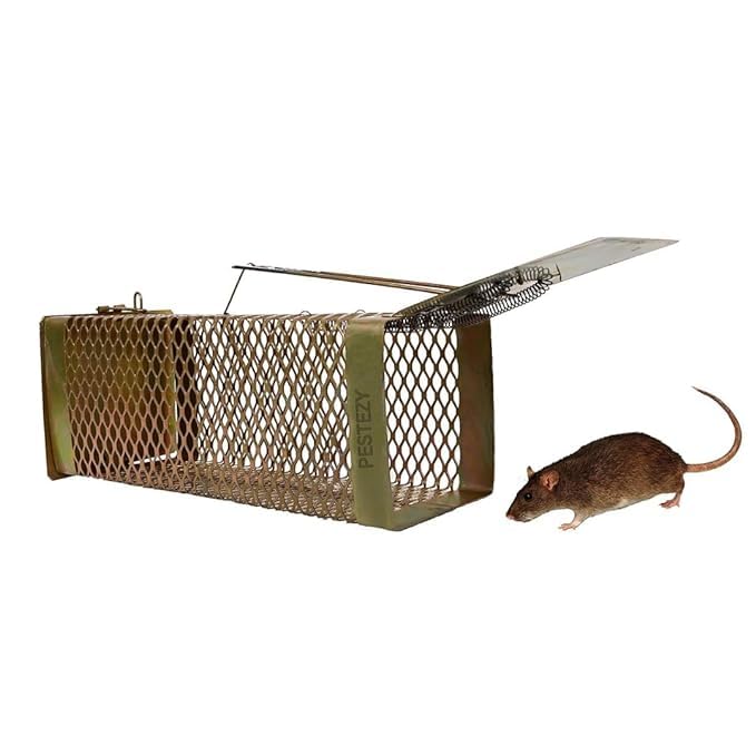 RATOPOLIS-Mouse/Rat Trap for catching Small & Large Size Rats, Chuha ...