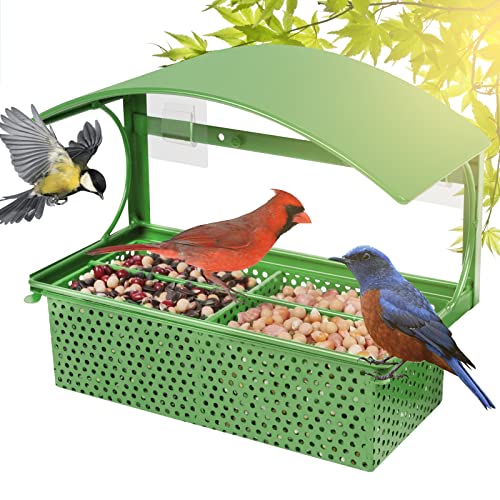 10 Best Window Bird Houses: Reviews and Buying Guide to Bring Birds to ...