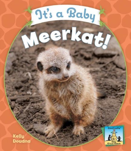 It's a Baby Meerkat! (Baby African Animals): Doudna, Kelly, Craig ...