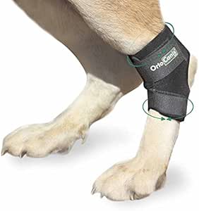 Ortocanis - Hock Support for Dogs with Osteoarthritis, Ligament ...