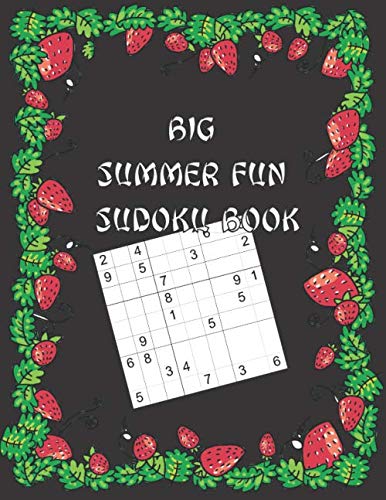 Big Summer Fun Sudoku Book: 101 Number Large Grids for Children, Adults ...