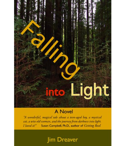 FALLING INTO LIGHT - Kindle edition by Dreaver, Jim. Literature ...