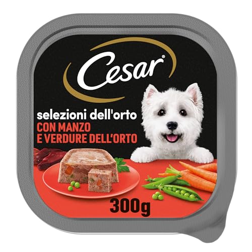 Cesar Chien – Les 15 meilleurs produits dans la comparaison - Guide ...