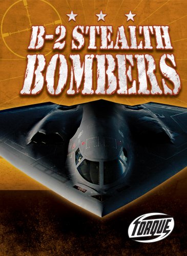 B-2 Stealth Bombers (Torque Books: Military Machines): Jack David ...
