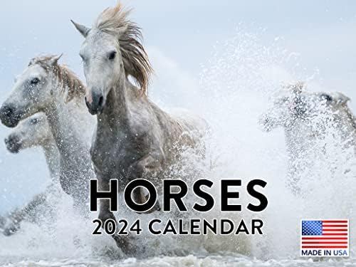 Amazon.com: Willow Creek Press What Horses Teach Us Monthly 2024 Wall ...