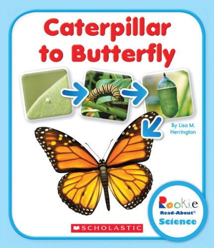 15 Nonfiction Books About Butterflies for Preschoolers