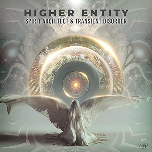 Higher Entity de Spirit Architect & Transient Disorder en Amazon Music ...