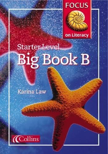 Starter Level Big Book B: Lively texts and vibrant illustrations ...