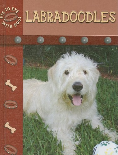 Labradoodles: Stone, Lynn M.: 9781604723632: Books - Amazon.ca