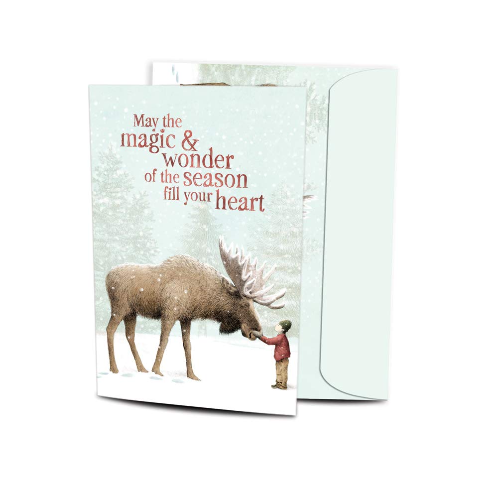 Amazon.com : Tree-Free Greetings Happy Holidays Cards and Envelopes ...