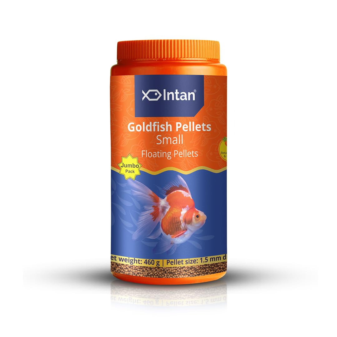 Growel Intan Goldfish Pellets (Small 1.5mm Floating) | 460gm - Highly ...