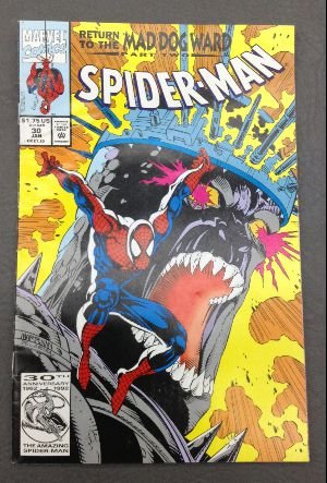 Spider-Man #30 : Brianstorm (Return to the Mad Dog Ward - Marvel Comics ...