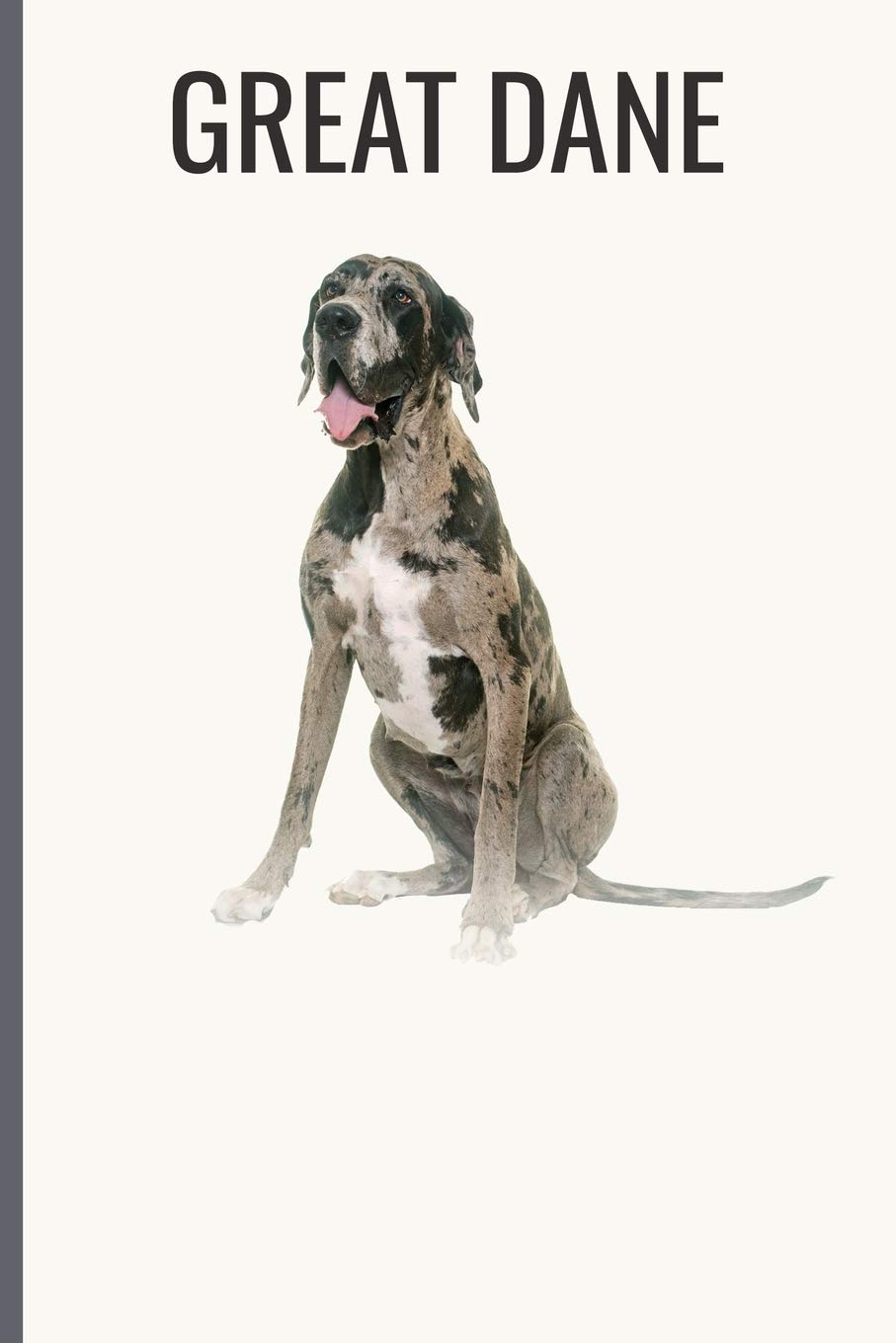 Are Great Danes Good Inside Dogs