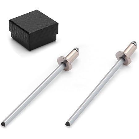 Amazon.com: 1 Pair GM NOS Dash Rosette Rivets Stainless Steel Fits for ...