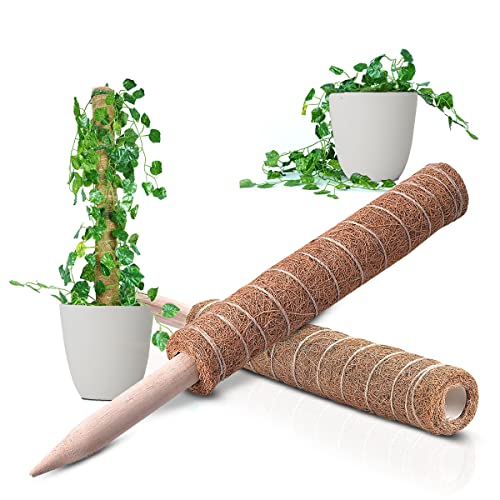 Amazon.co.uk Best Sellers: The most popular items in Plant Cages & Supports