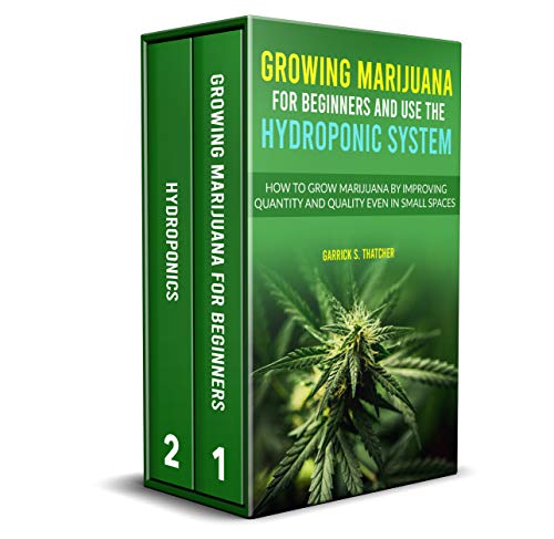 Marijuana Hydroponics For Beginners