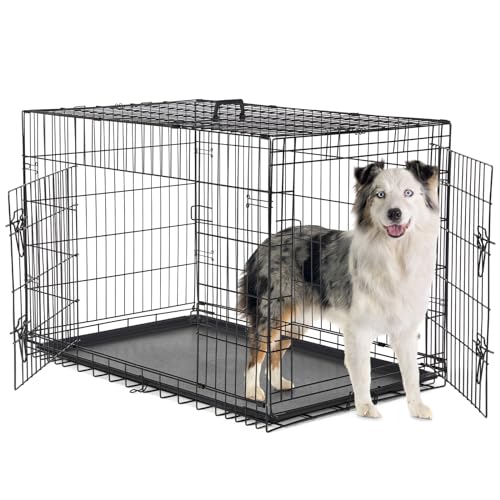 Choosing the Right Size Dog Kennel for Your Pet: A Comprehensive Guide ...