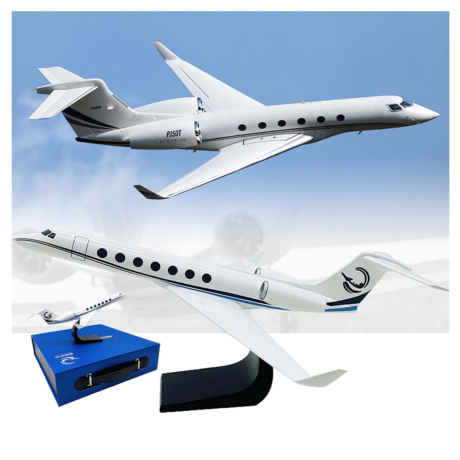 Rc private jet online