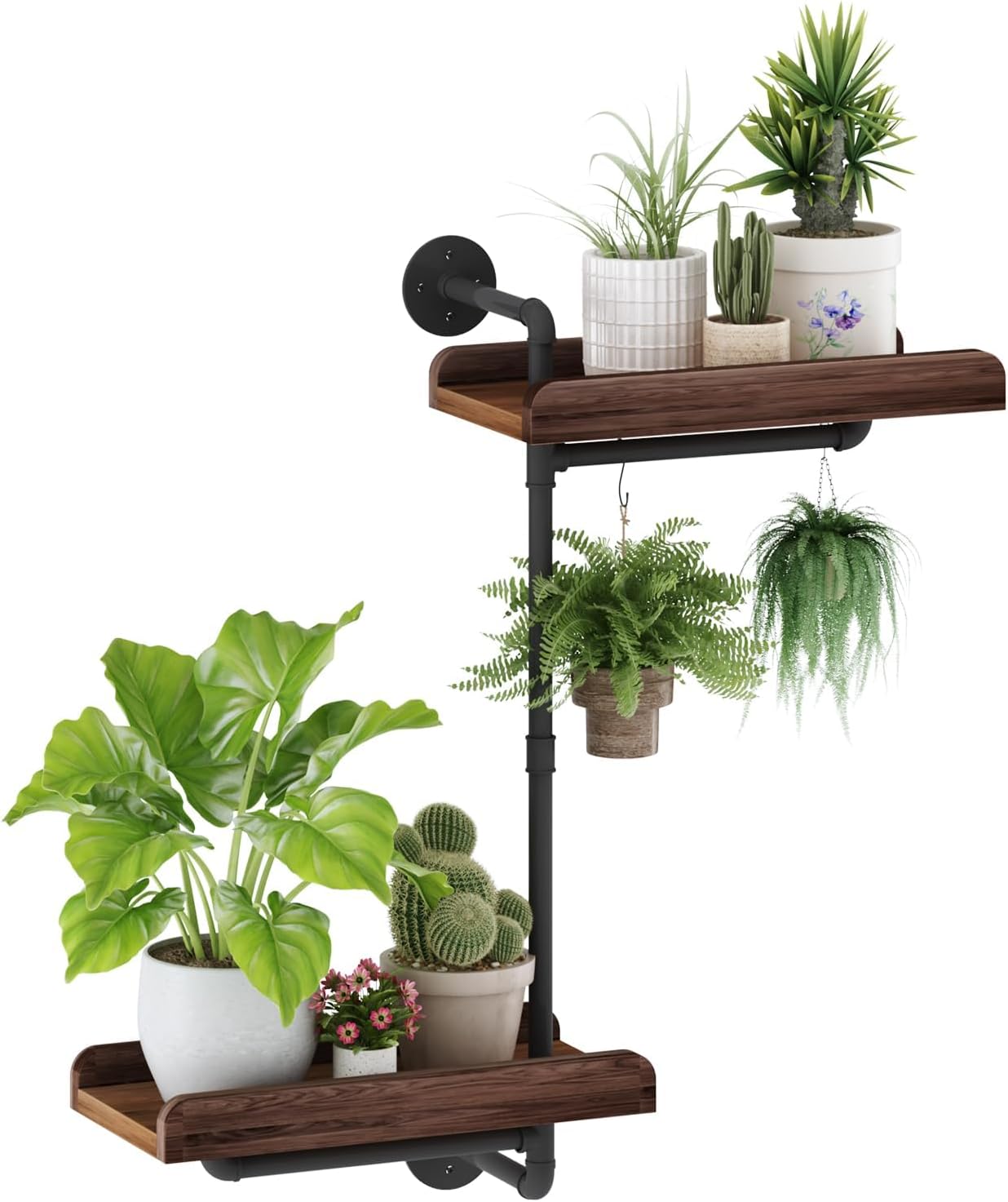 Amazon.com: Bamworld Window Plant Shelves 2 Tier Corner Plant Stand ...