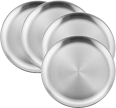 Amazon.com | MOUYAT 5 PCS Stainless Steel Plate Set, 13 Inch Round ...