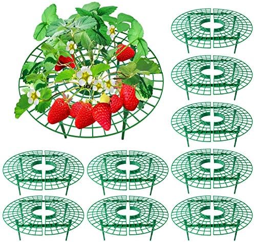Amazon.com : Medoore 5 Pack Strawberry Supports, Adjustable Strawberry ...