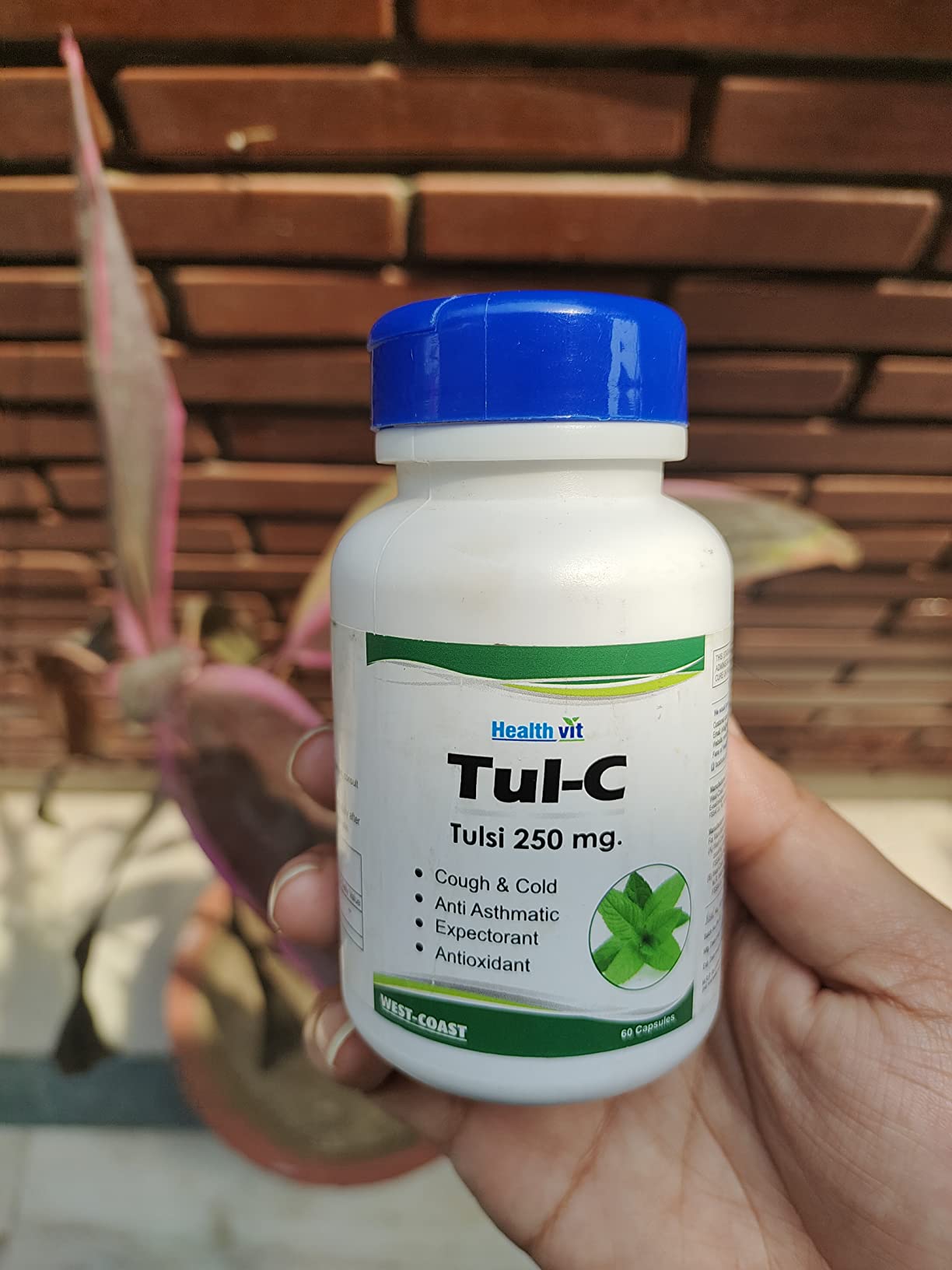 Buy Healthvit TUL-C Powder 60 Capsules - 250 mg Online at Low Prices in ...